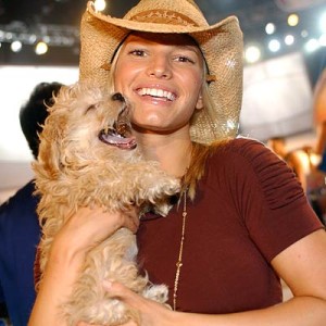 Maltese Mross Poodle Owned by Jessica Simpson: Celebrety Pet of the ...