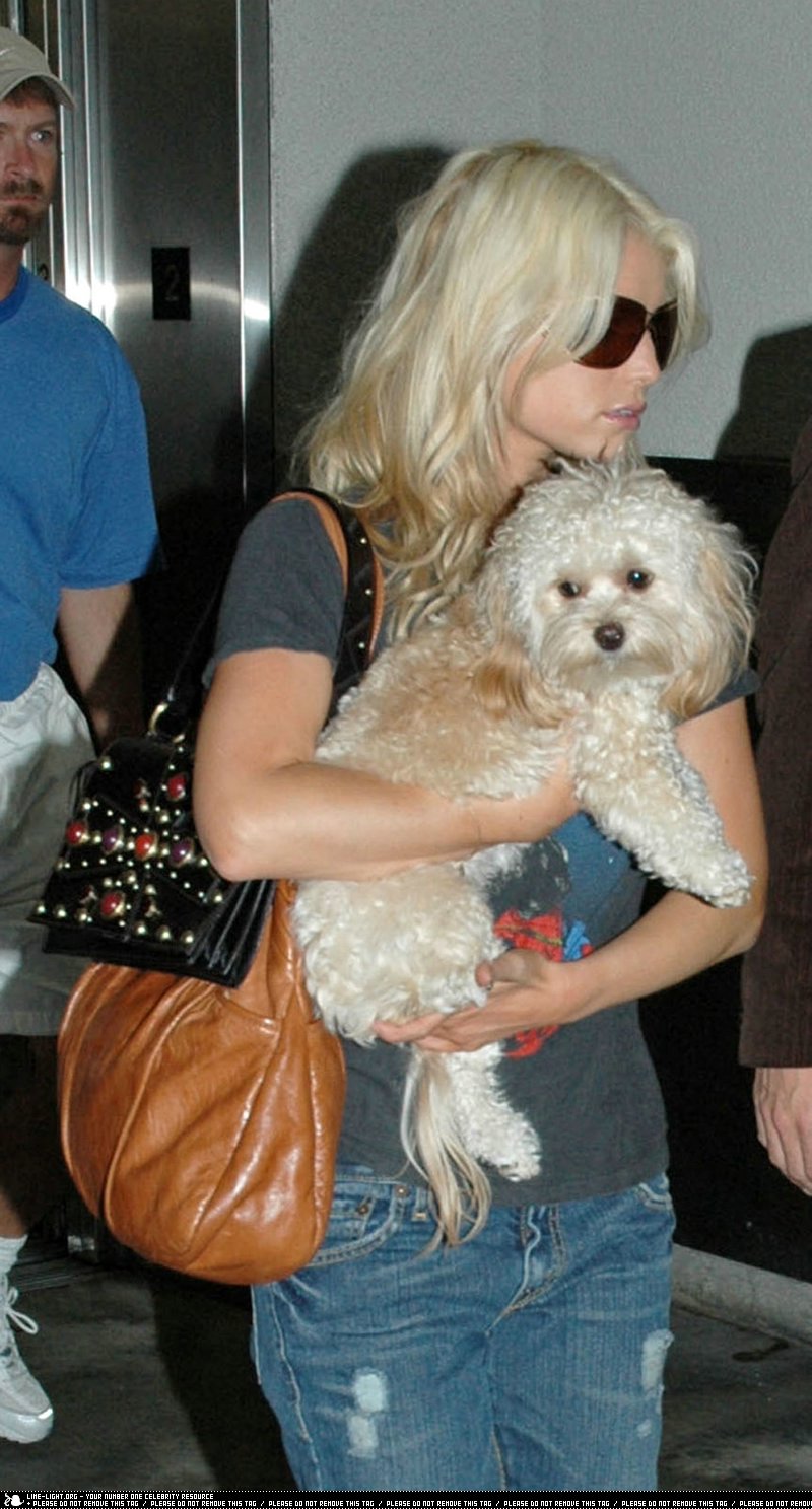 Jessica Simpson with her pet - Pet Paw