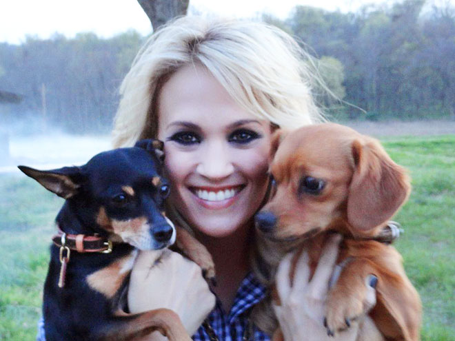 celebrity Archives - Pet Paw